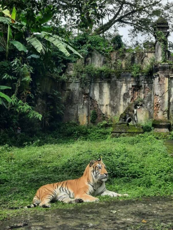 Jakarta : Taman Safari, Panda Palace, and Waterfall - Key Points