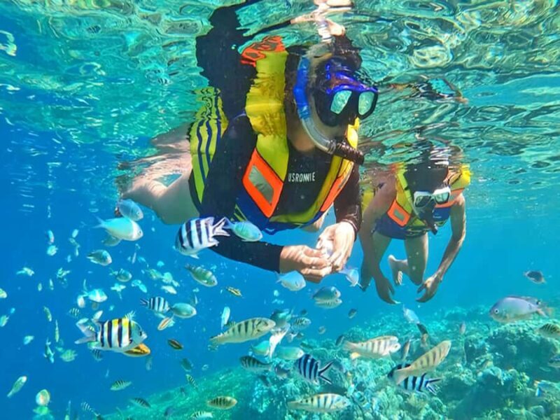 Jakarta: Thousand Island similar Bali Island Tour - Pricing and Value