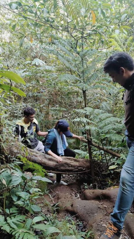 Jakarta to Bogor: Luhur Waterfall and Lake Lido Day Trip - Key Points