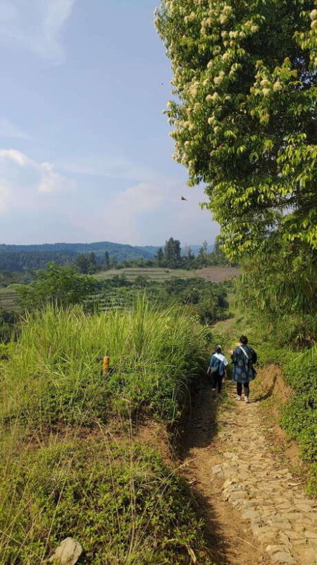 Jakarta to Bogor: Luhur Waterfall and Lake Lido Day Trip - The Value for Your Money