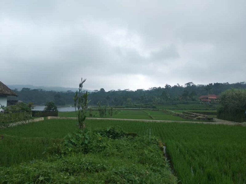 Jakarta :Volcano, HotSpring, Tea Factory, RiceField, &Coffee - Key Points