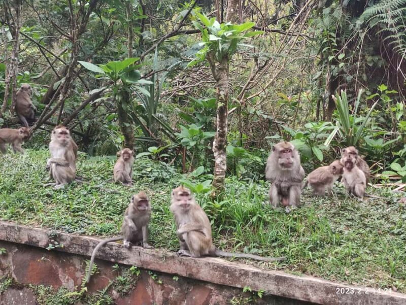 Jakarta :Volcano, HotSpring, Tea Factory, RiceField, &Coffee - Frequently Asked Questions