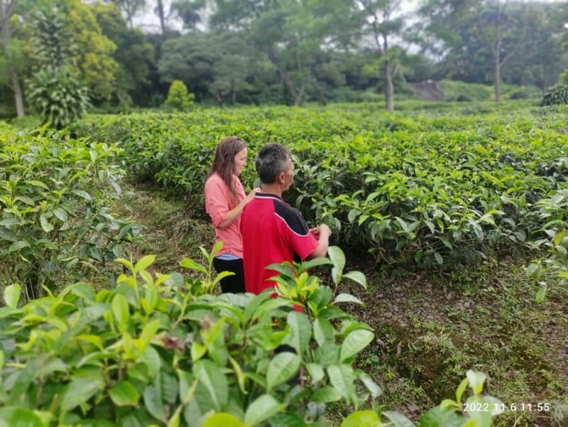 Jakarta :Volcano, HotSpring, Tea Factory, RiceField, &Coffee - Final Thoughts