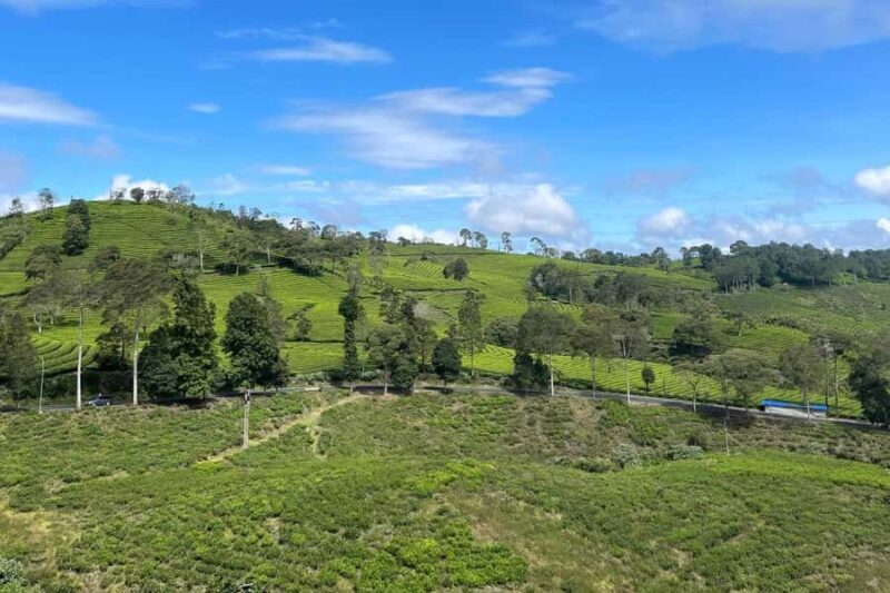 Jakarta: Volcano, Suspension Bridge and Hot Spring - Key Points