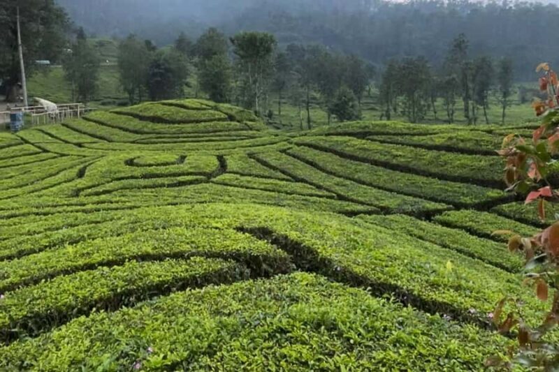 Jakarta: Volcano, Suspension Bridge and Hot Spring - Frequently Asked Questions