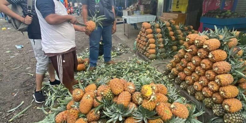 Jakarta: Volcano, Tea/Rice Fields, Hot Spring, Local Food - Final Thoughts