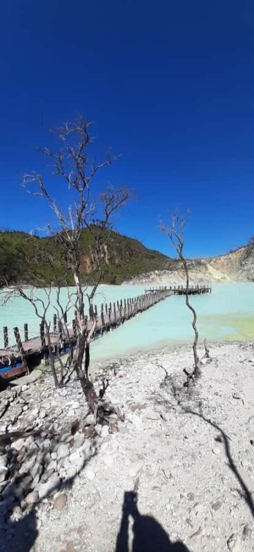 Jakarta: Waterfalls, Volcano, White Crater, Tea, Hot Spring - Who Should Consider This Tour?