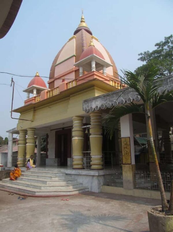 Jalpaiguri: Full-Day Private Tour with Tea Estate Visit - Key Points