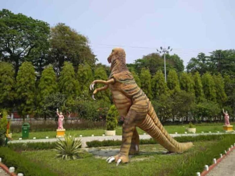 Jalpaiguri: Full-Day Private Tour with Tea Estate Visit - Exploring Jalpaiguri in Depth