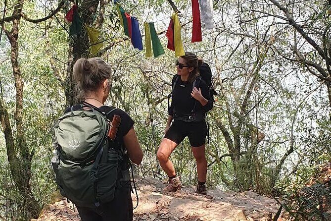 Jamacho Day Hike Scenic Forest Trail Above Kathmandu - An In-Depth Look at the Jamacho Day Hike