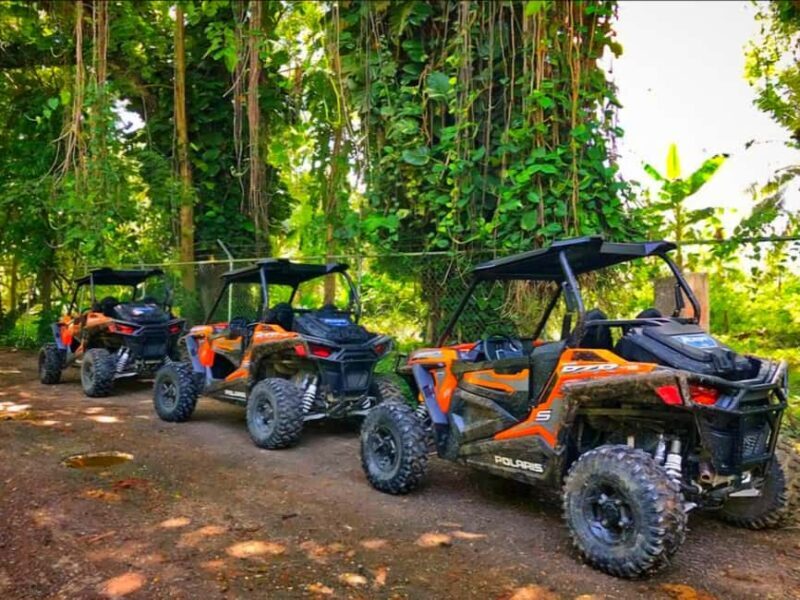 Jamaica: ATV, River Rafting & Blue Hole Tour from Ocho Rios - Key Points