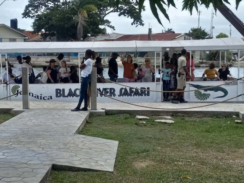 Jamaica: Black River Safari Guided Tour and YS Falls Tour - An Overview of the Tour Experience