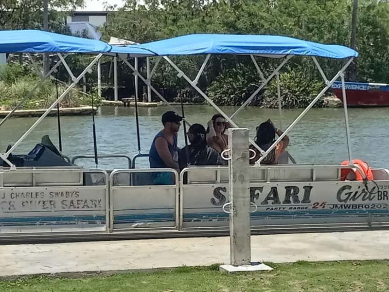 Jamaica: Black River Safari Guided Tour and YS Falls Tour - Who Is This Tour Best For?