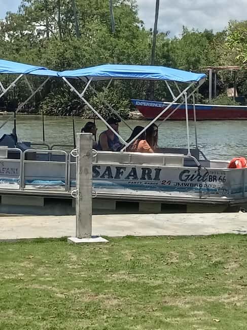 Jamaica: Black River Safari Guided Tour and YS Falls Tour - The Sum Up