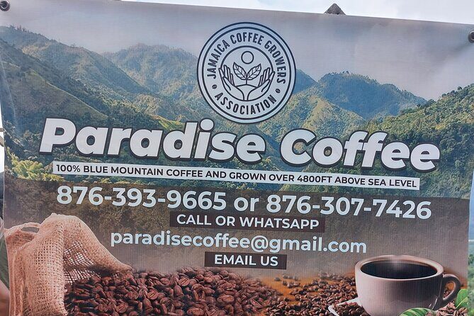Jamaica Blue Mountain Coffee Tour and sightseeing experience - Who Should Consider This Tour?