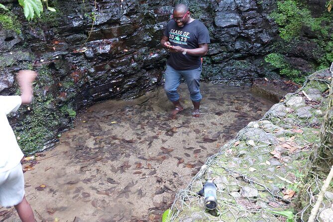 Jamaica Blue Mountain Coffee Tour and sightseeing experience - FAQs