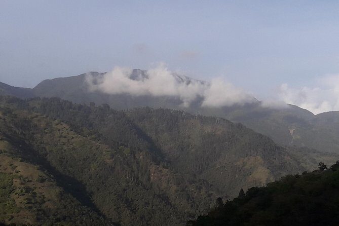 Jamaica Blue Mountain Guided Nature Tour - A Closer Look at the Itinerary