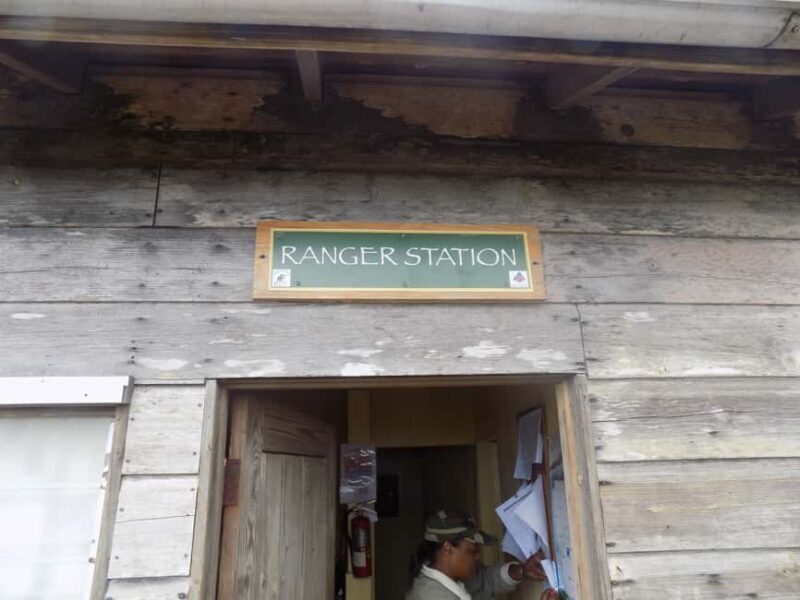 Jamaica: Blue Mountain Peak Hiking Tour - Key Points