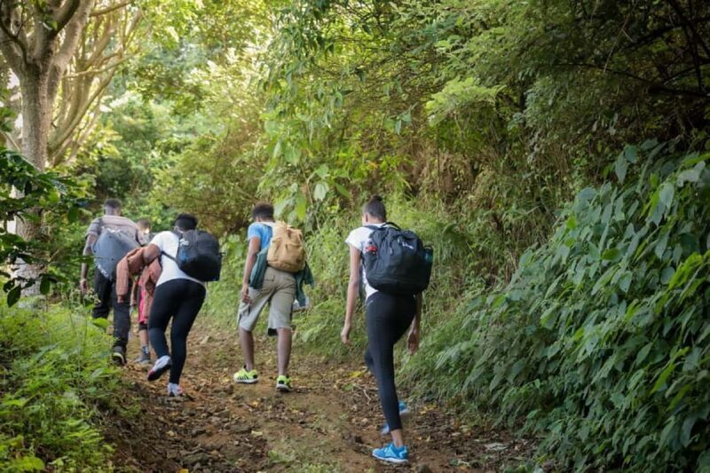 Jamaica: Blue Mountain Peak Hiking Tour - Detailed Review of the Experience