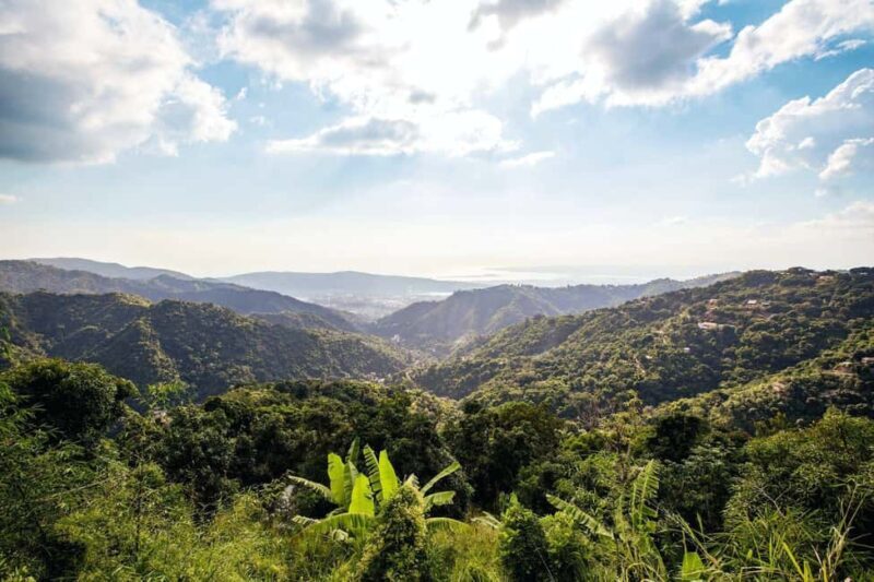 Jamaica: Blue Mountains Full Day Tour with Brunch & Lunch - What’s Included and What to Expect
