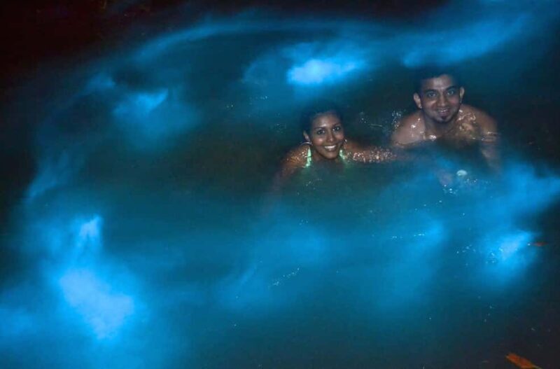 Jamaica: Bob Marley, Dunn's River Falls and Luminous Lagoon - Value Analysis