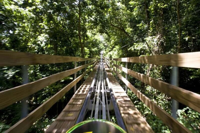 Jamaica Bobsled and Zip Line Adventure Tour - Key Points