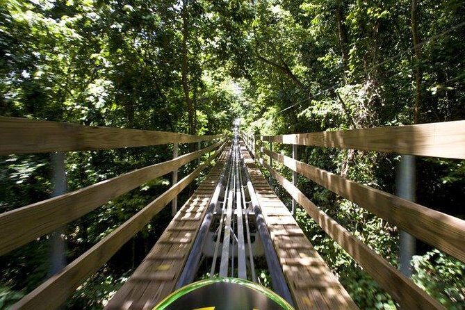 Jamaica Bobsled (Mystic Silver) Adventure Tour - Exploring the Parks Attractions