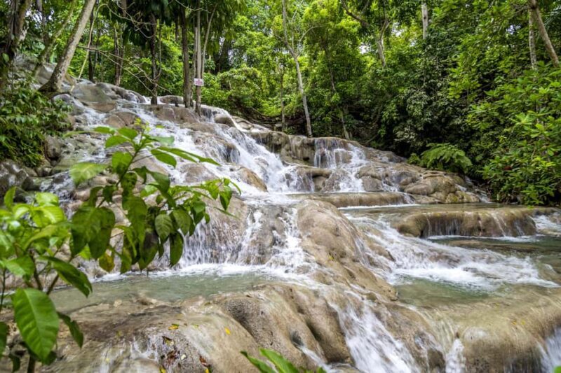 Jamaica: Dunn's River and Nine Miles - Comparing with Similar Experiences