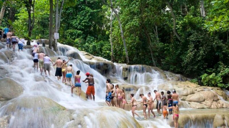 Jamaica: Dunns River Falls and Jungle River Tubing Tour - Key Points