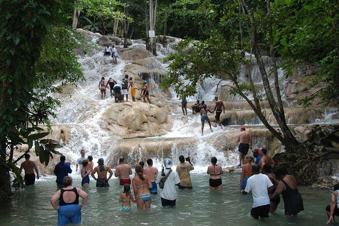 Jamaica Dunn's River Falls Party Cruise with Snorkeling - Who Should Consider This Tour?