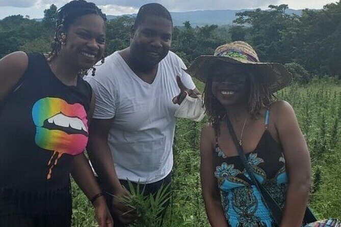 Jamaica Farm Private Dispensary Tour Montego Bay - Analyzing the Value for Money