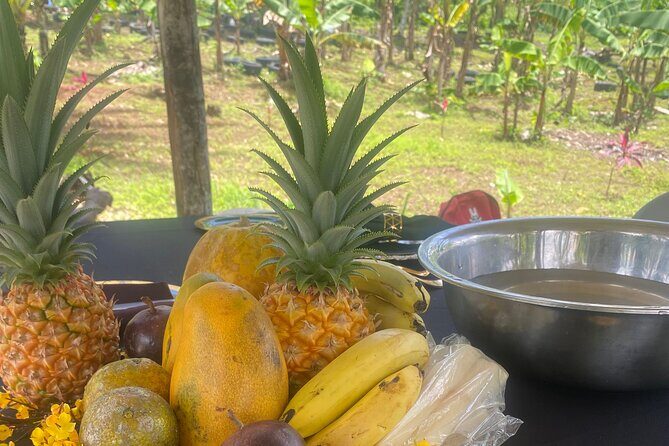 Jamaica Farm Private Dispensary Tour Montego Bay - FAQ