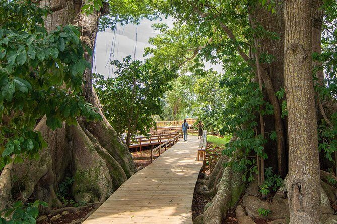 Jamaica Giants sculpture park, art galleries - An In-Depth Look at Jamaica Giants Sculpture Park & Art Gallery