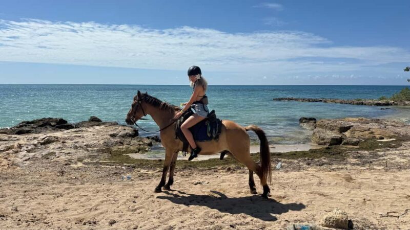 Jamaica: Horseback Riding and Sunset Catamaran Cruise - Practical Tips for Travelers