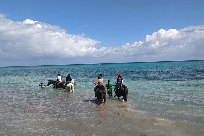 Jamaica Horseback Riding Experience Missile Green Island Hanover - Reviews and Authentic Perspectives