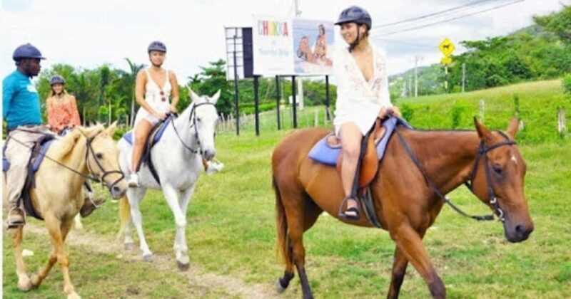 Jamaica: Private Horseback Ride and Swim in the Sea - Why This Tour Offers Great Value