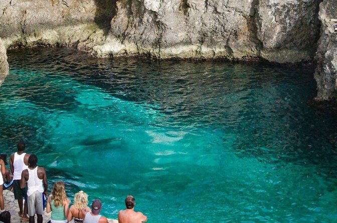 Jamaica Sunset at Rick's Cafe Private Tour with Transfer - Who Should Consider This Tour?