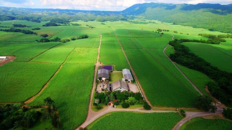 Jamaica: Worthy Park Rum Estate - Final Thoughts: Is It Worth It?