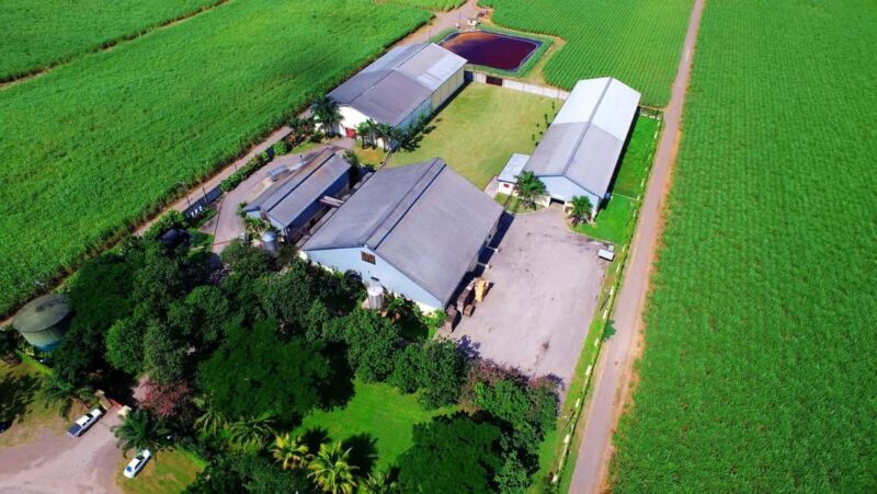 Jamaica: Worthy Park Rum Estate - FAQ