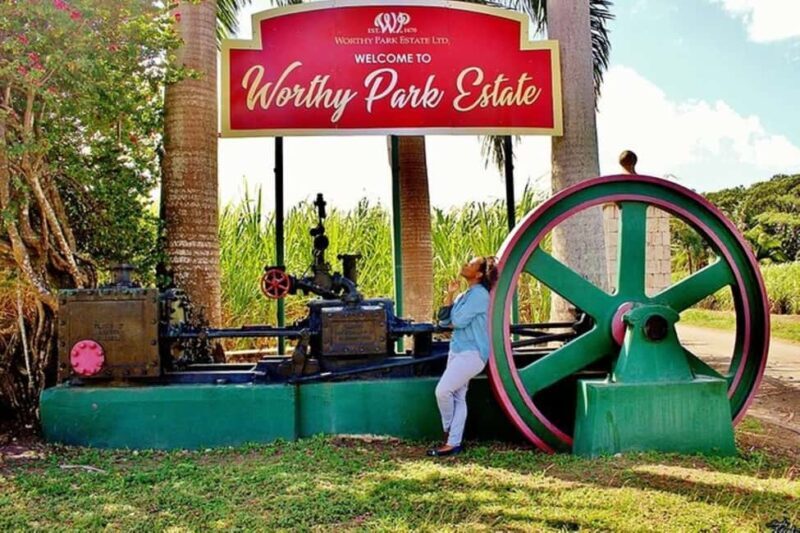 Jamaica: Worthy Park Rum Estate Tour - Who Will Enjoy This Tour?