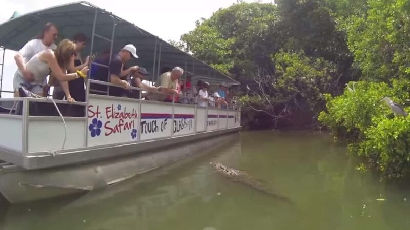 Jamaica: YS Falls and Black River Safari Tour - Who Is This Tour Best For?