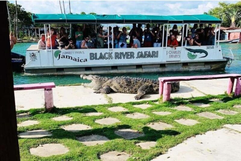 Jamaica: YS Falls and Black River Safari Tour - FAQs