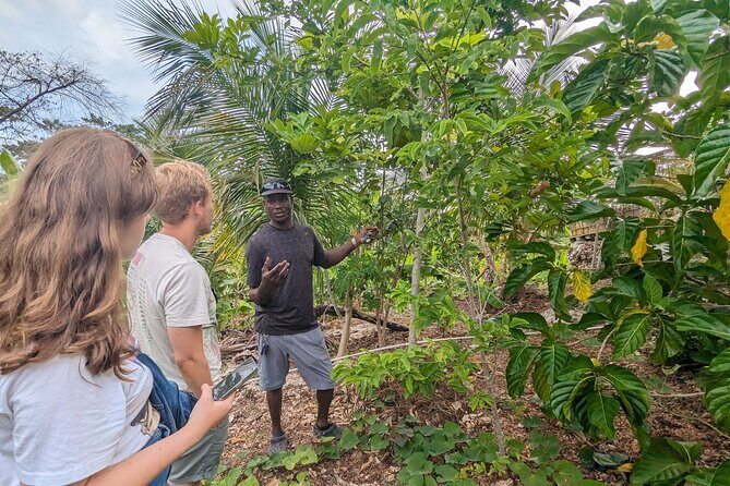 Jamaican Roots Tropical Farm Tour - Taste & Explore (Negril) 2hr - Who Will Love This Experience?