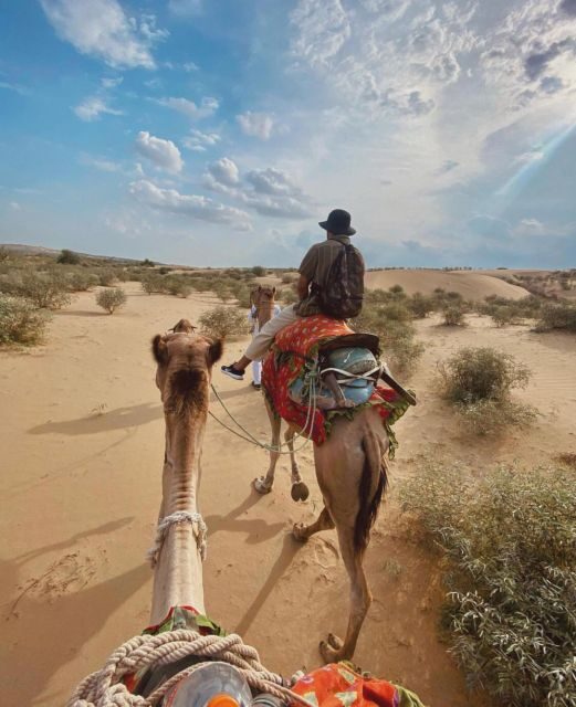 James Desert Experience - Experiencing the Thar Desert: What to Expect