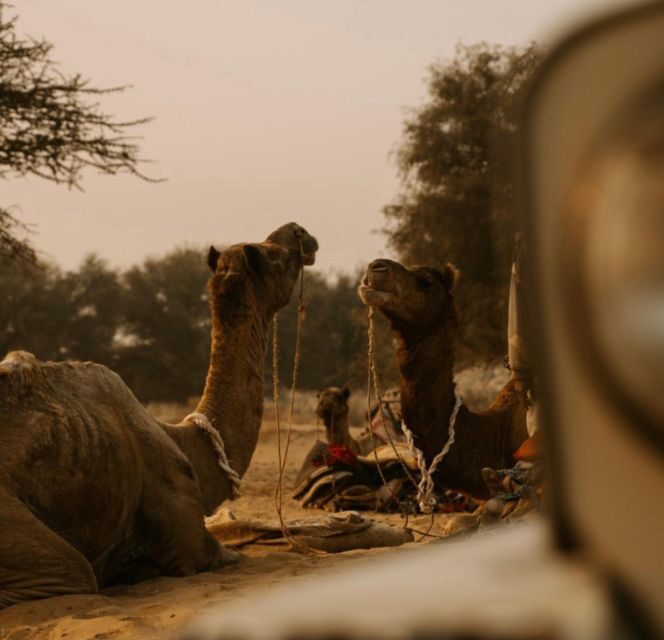 James Desert Experience - Authentic Experiences & Cultural Insights