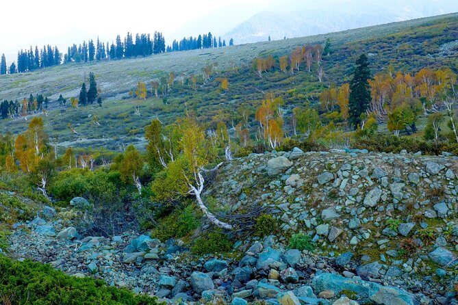 Jammu & Kashmir Valley Tour - FAQs