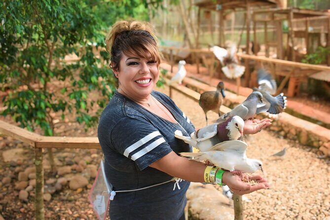 Jamwest Negril Zipline and JamCulture Combo - The Sum Up: Who Should Book This Tour?