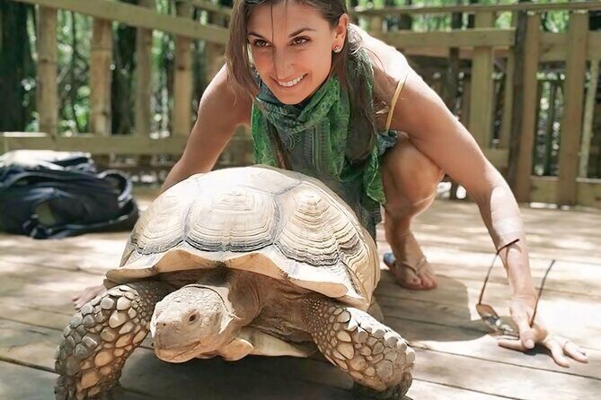 Jamwest Negril Zipline and JamCulture Combo - FAQ: Your Practical Questions Answered