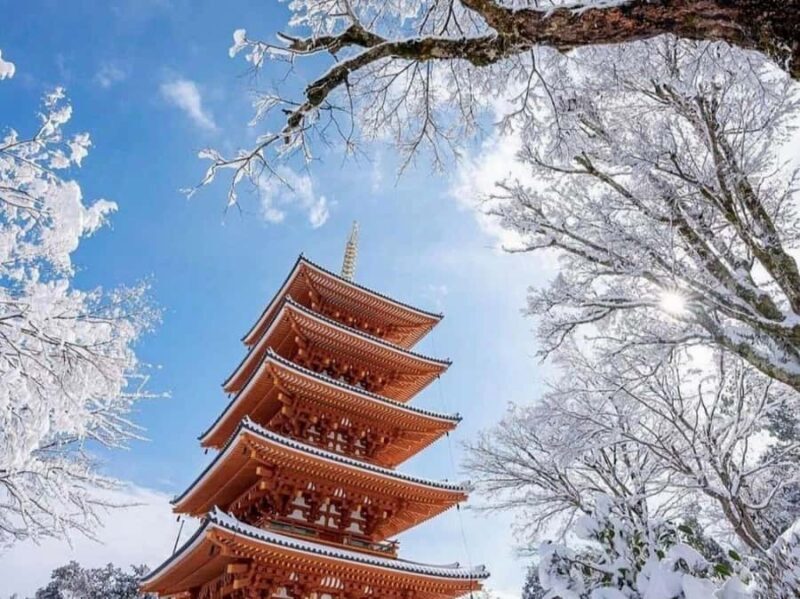 JAPAN: 5 Days Tokyo, Mt Fuji, Nikko, Nagano & Kamakura Tour - Who Is This Tour Best For?