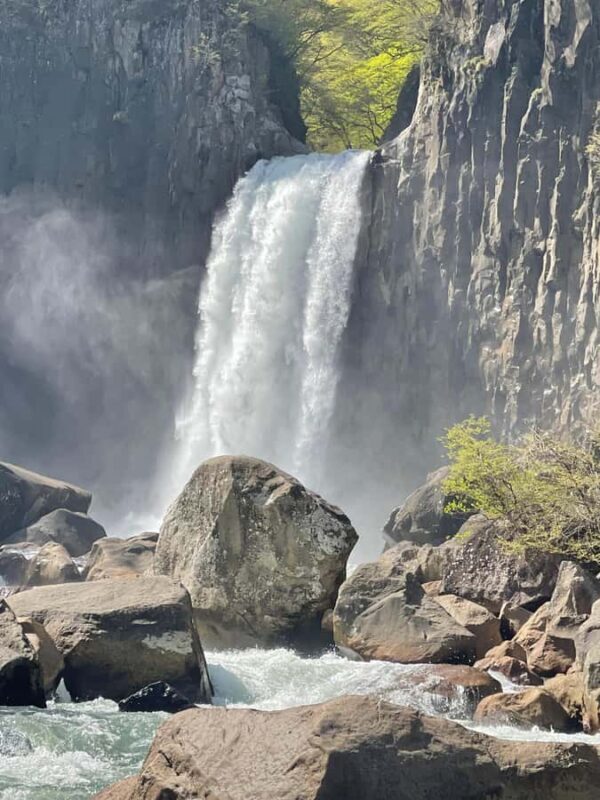 Japan: 6-Day Private Guided Tour with Accommodation - An In-Depth Look at the Itinerary